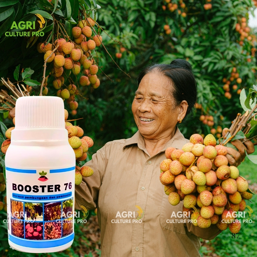 BOOSTER 76 for Vegetables and Fruits | Natural Growth Booster for ...
