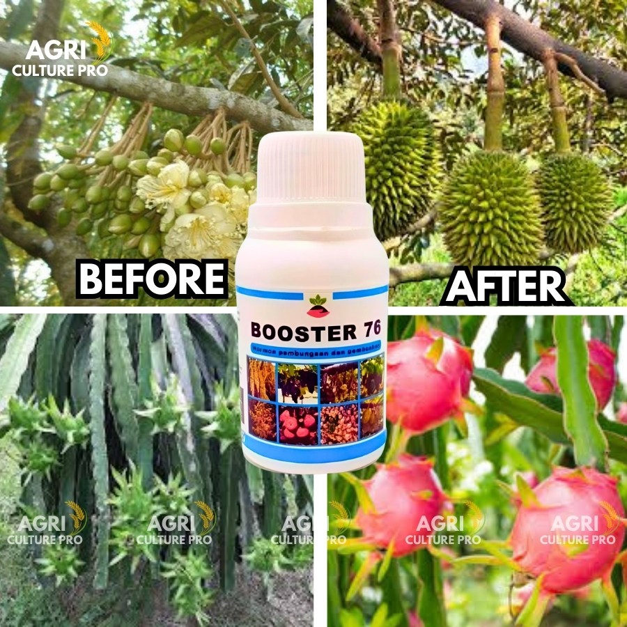 [BEST SELLER] Booster 76 fertilizer for vegetables and fruits boost ...