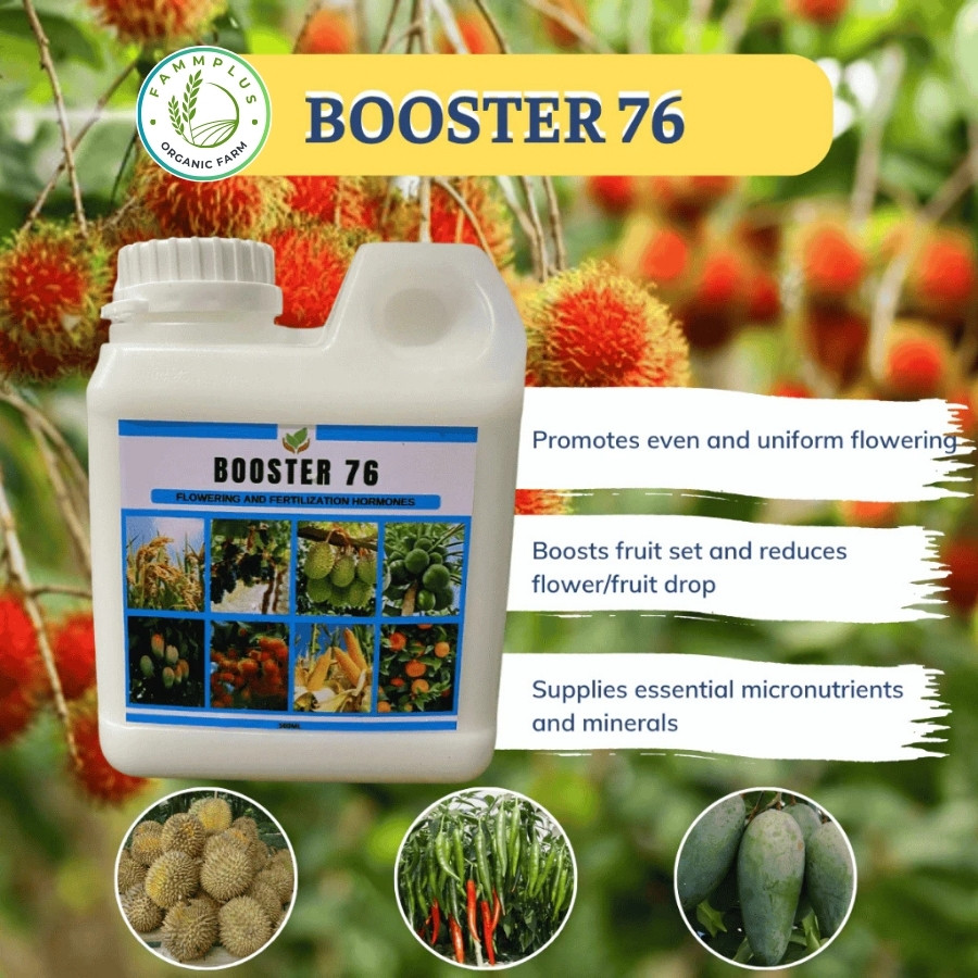 [BEST PRICE] Booster 76 500ML Flower Booster – Improve Flower Set for ...