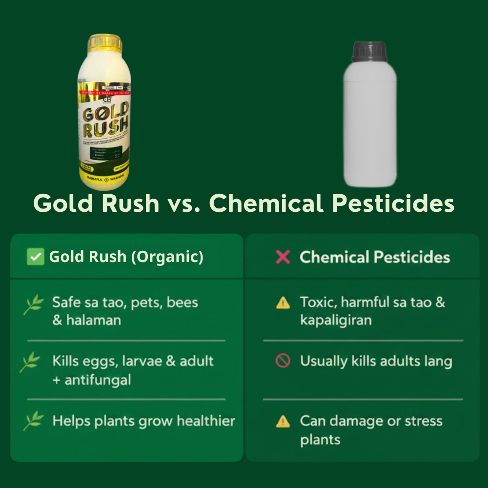 GOLD RUSH Broad Spectrum Systemic Insecticide / Pests Control - CB ...