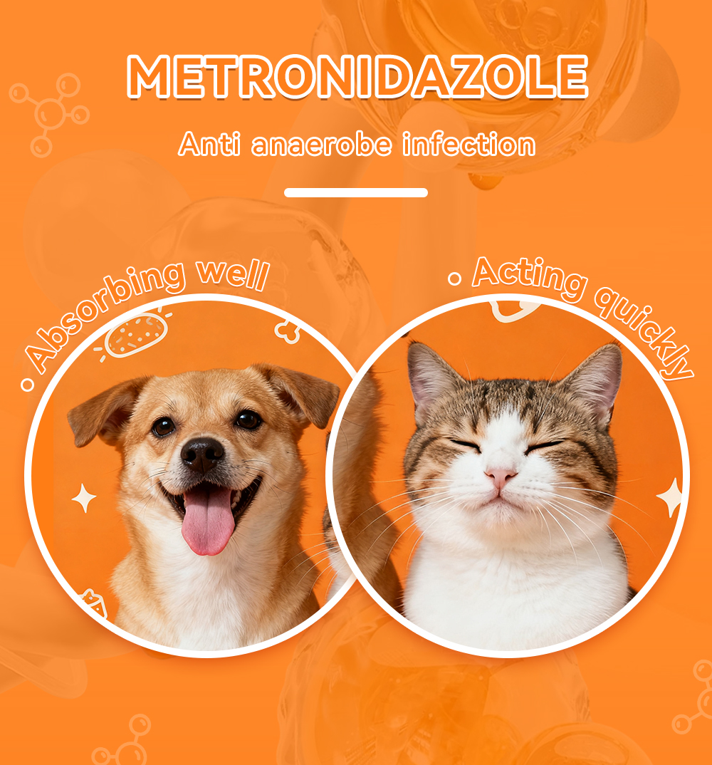 PUAINTA Anti Fungal Cream Ointment for Dog and Cat Ringworm Anti ...