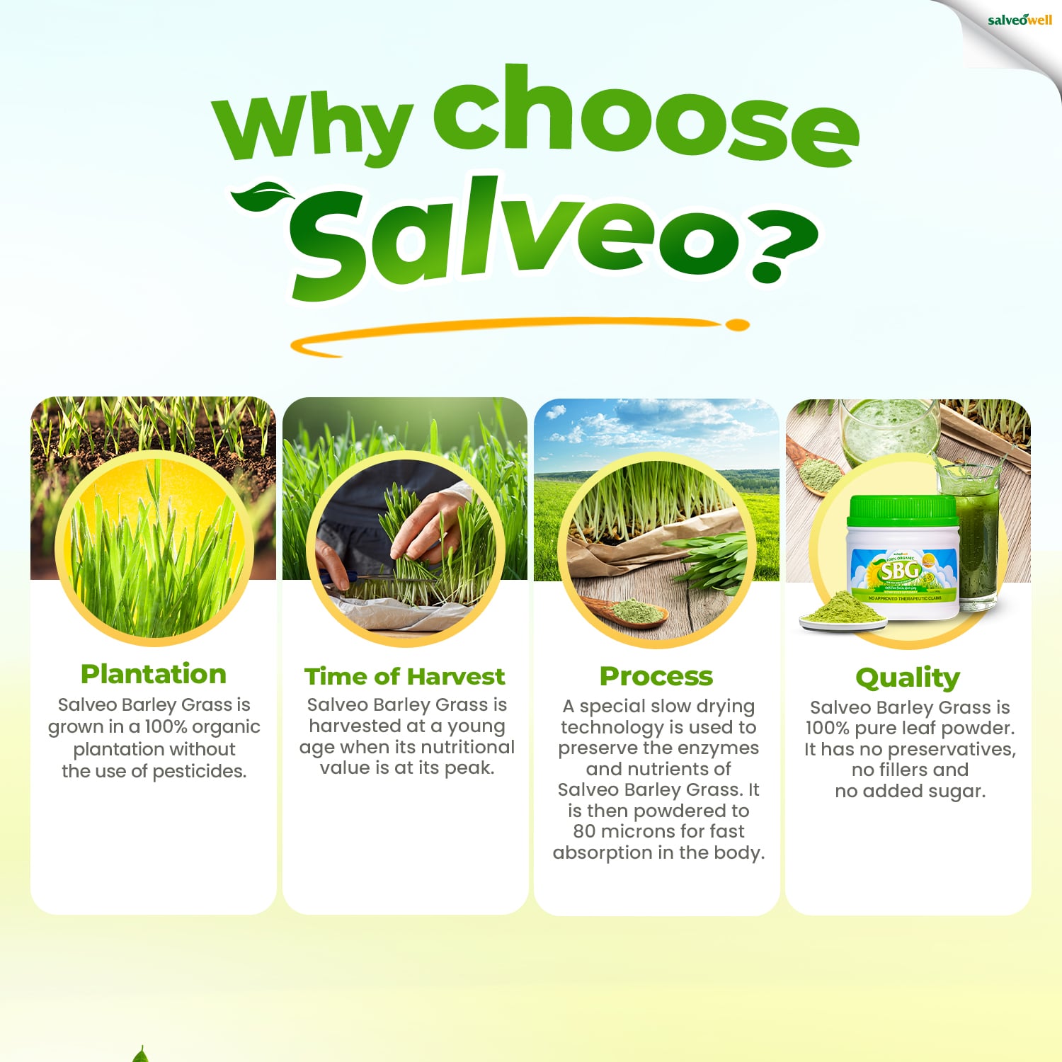 Salveo Barley Grass SBG Trial Pack | 80 Grams Pack | Shopee Philippines