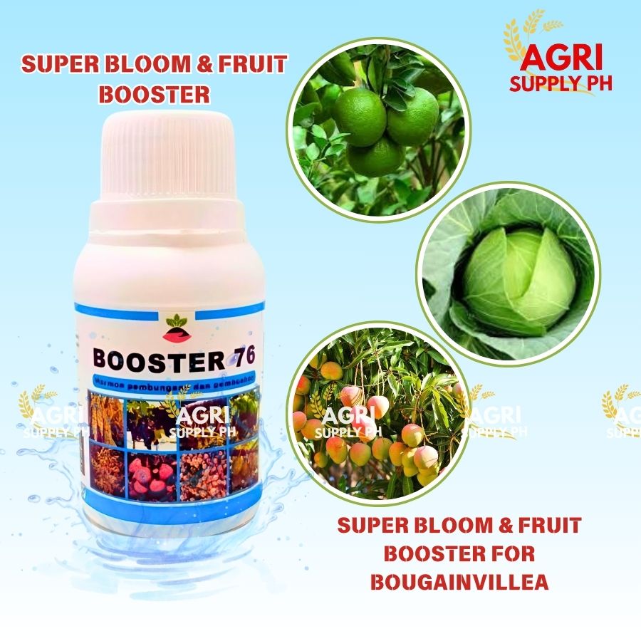 BOOSTER 76 Organic Growth Enhancer – Boosts Roots, Flowering & Higher ...