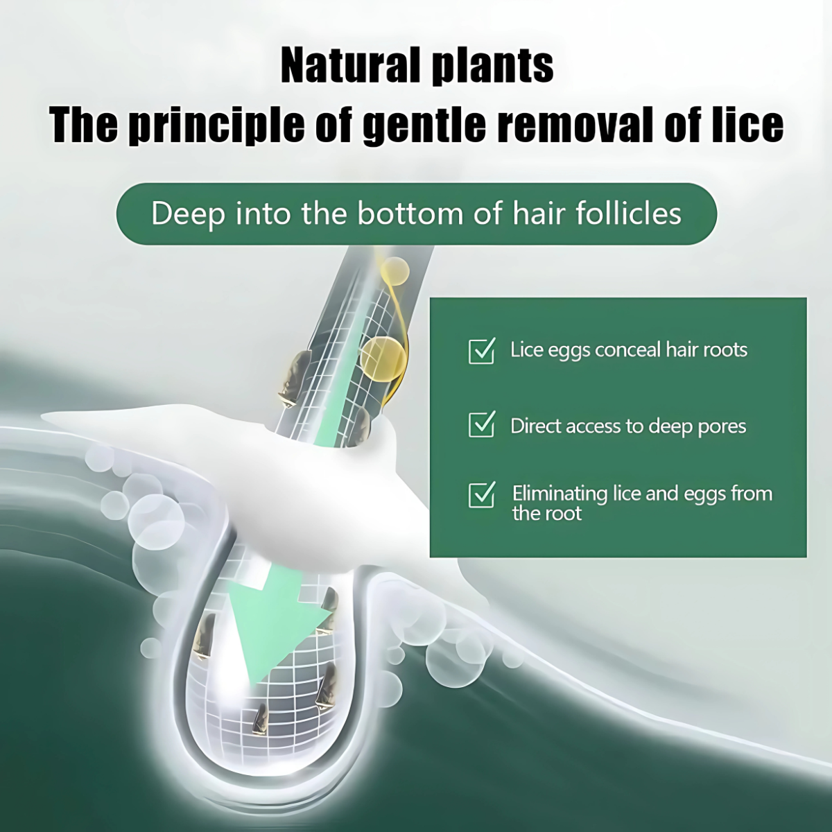 Head Lice Shampoo 100ml - Removing Lice Gently Using Natural Plants ...