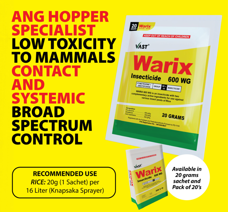 Warix 600wg Insecticide by Vast 20gx10 | Shopee Philippines
