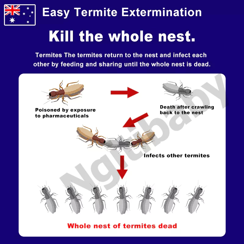 No termites within 3000m termite killer anay killer spray anti bait ...