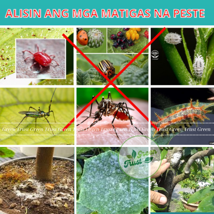 [Buy 1 Get 2] Bio Agrivax 500ML fungicide - The Most Effective Organic ...