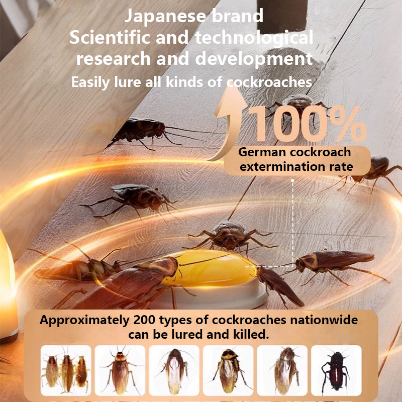 Pro Super Cockroach Bait Trap Concentrated Formula Cockroach Killer End ...