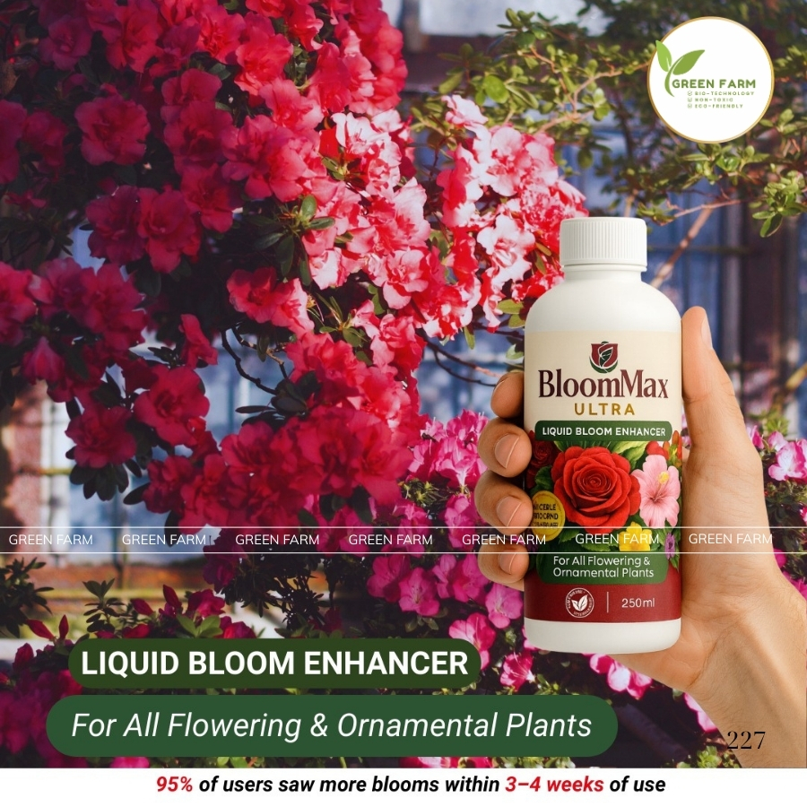 BLOOMMAX Specialized Blooming Booster 250G - Bloom Max Ultra fertilizer ...