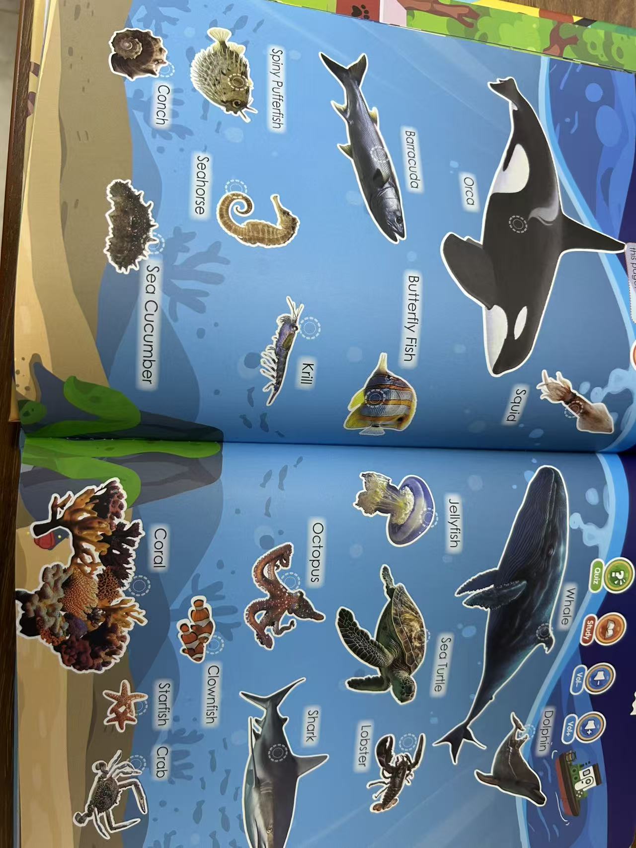 Kids English Learning Toy 3-9Y Sound Interactive 14 Topics 260 Words 6 ...