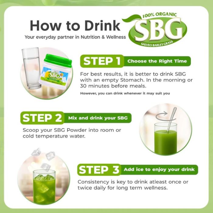 Salveo Barley Grass (SBG) 3 Box On The Go Pure Organic Barley Powder ...
