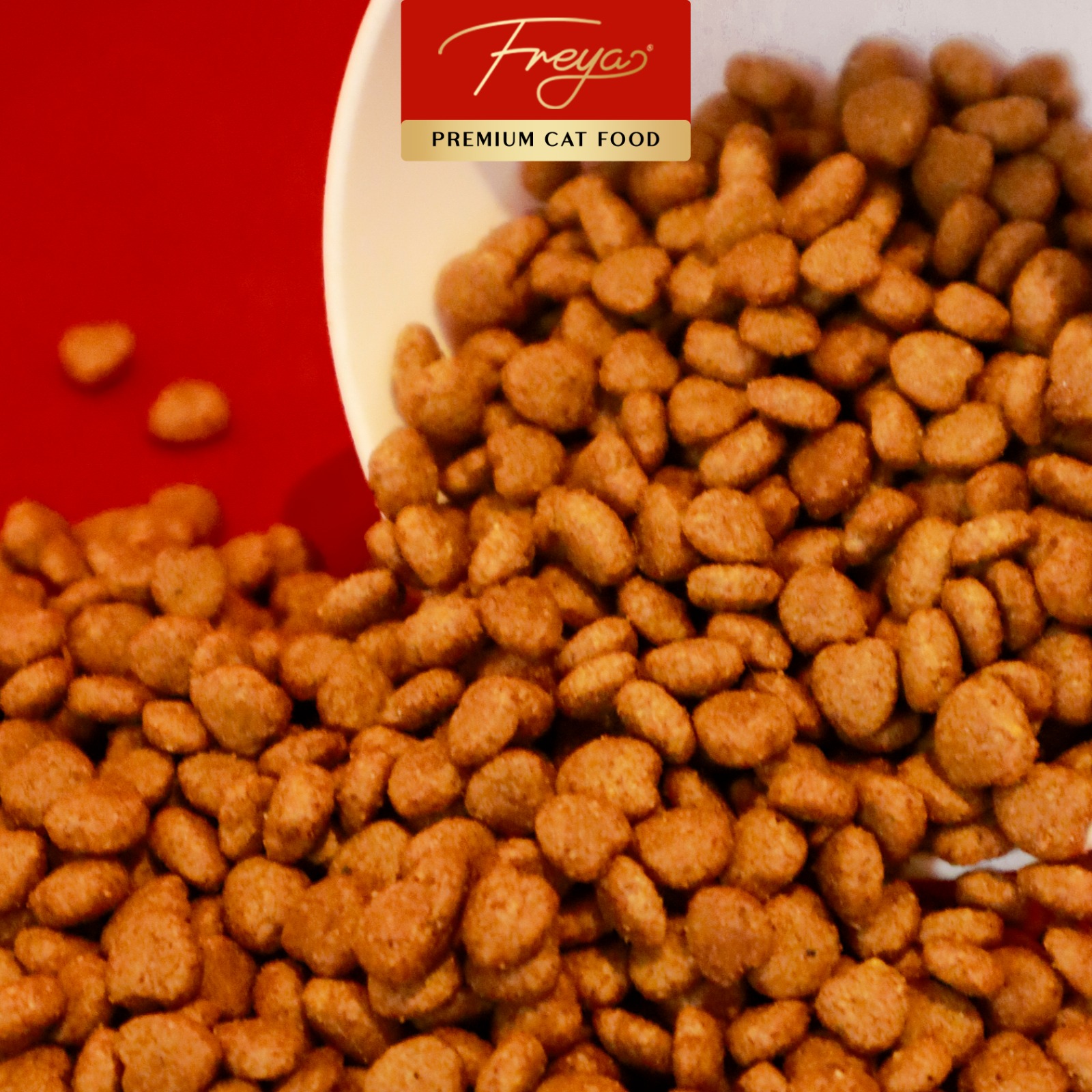 1KG REPACKED FREYA Premium Cat Food ALL STAGES (Low Sodium) PAW'S PH ...