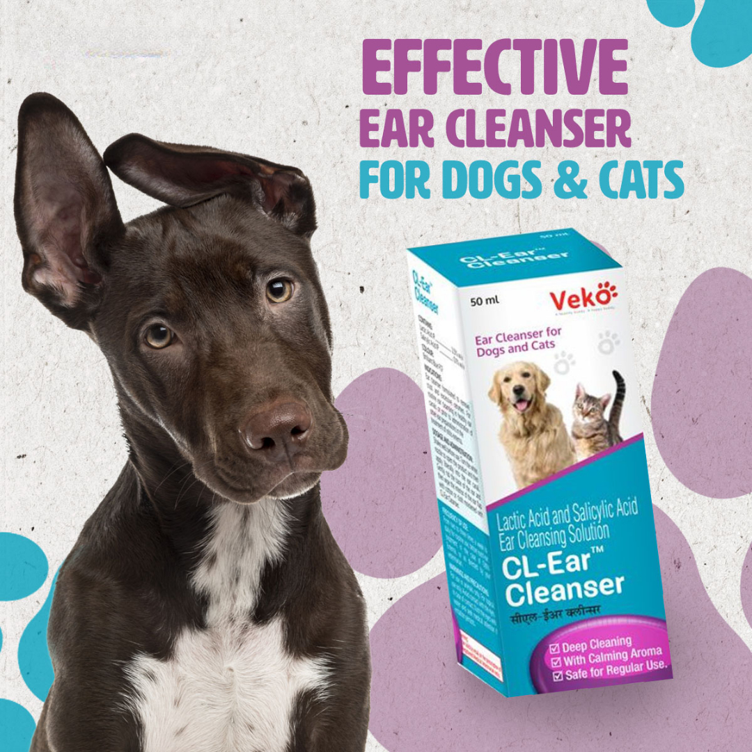VeKo CL-Ear Cleanser 100ml LA+SA | Shopee Philippines