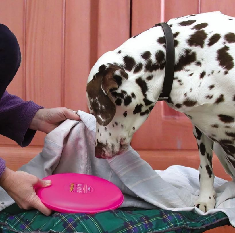 SnuggleSafe Microwave Heat Pad For All Pets | Shopee Philippines