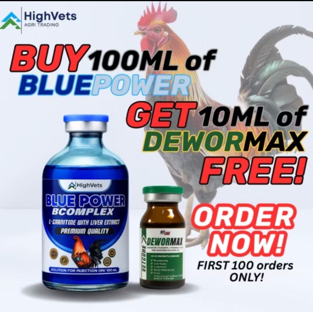 BLUE POWER B COMPLEX w/ L Carnitine and Liver extract,Gamefowl-Pigeons ...