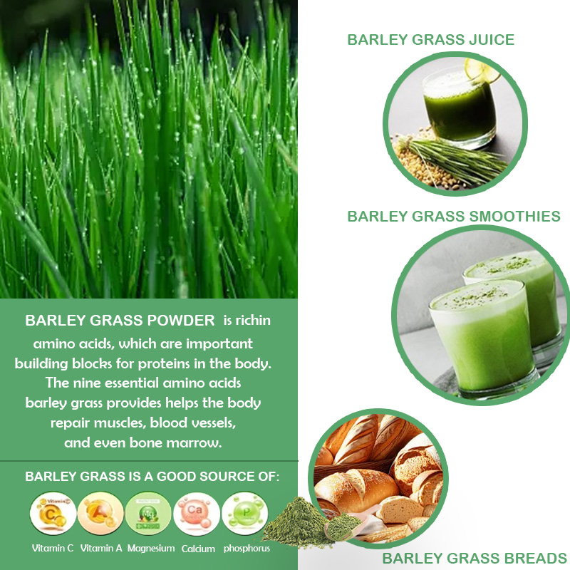 Weekit7 Barley Grass Powder,Organic,Natural Herbal Drinks for Digestive ...
