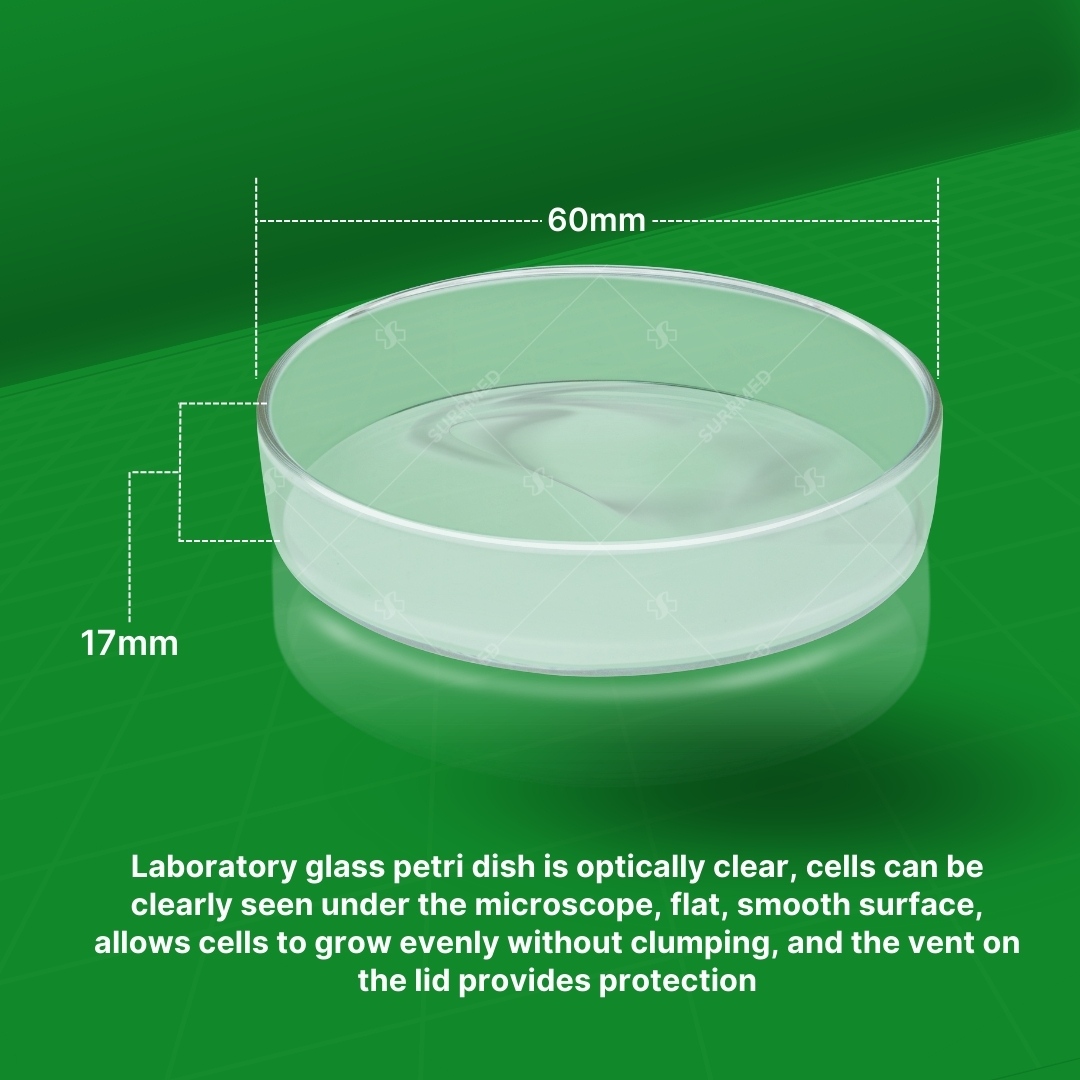 SURRMED Petri Dish Plastic or Glass Laboratory Culture Plate for ...