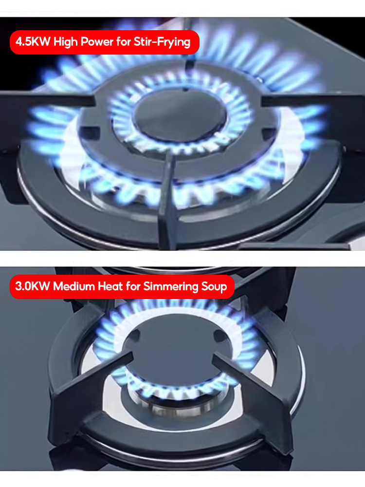 Tixx Gas Stove Double Burner Stainless Steel Gas Stove with Drip Pan ...