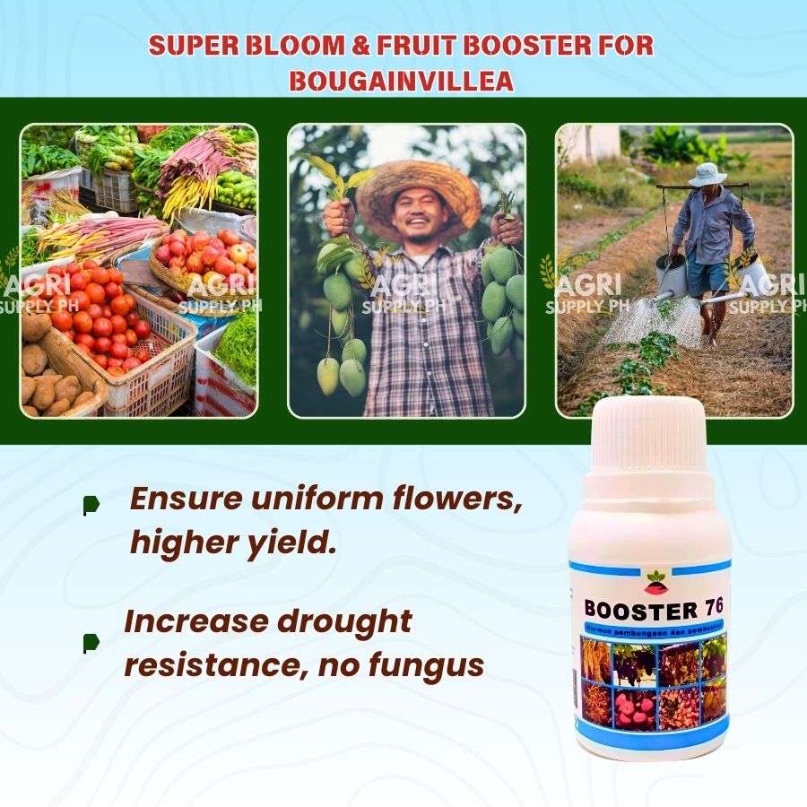 BOOSTER 76 Organic Growth Enhancer – Boosts Roots, Flowering & Higher ...