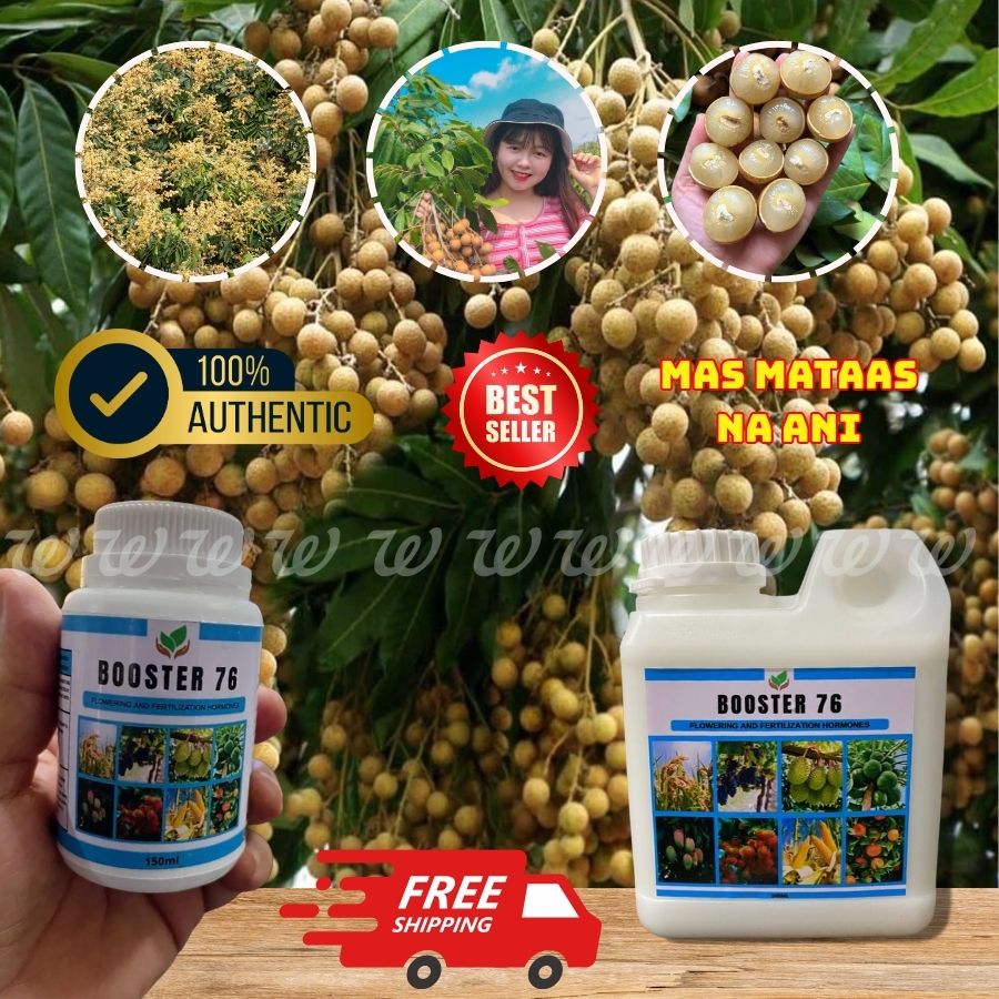 Booster 76 500ml–Organic Fertilizer for Plantations, Strong Flowering ...
