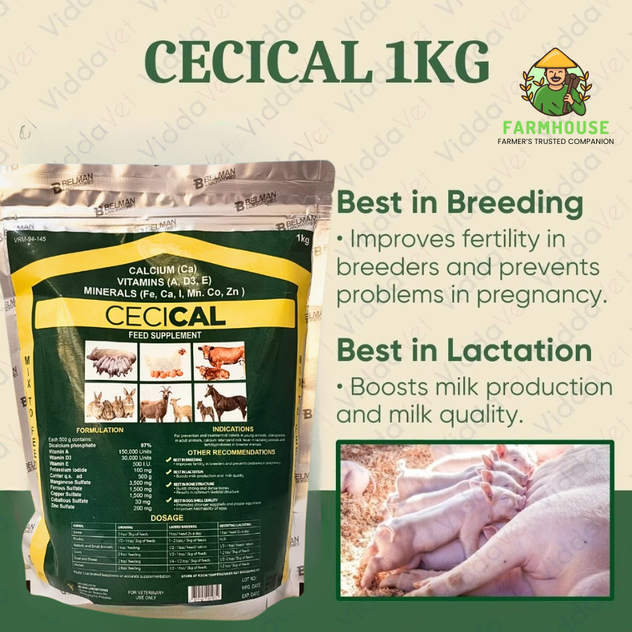 Cecical Powder 1kg (Calcium) Feed Additive (Vitamin & Minerals) for ...