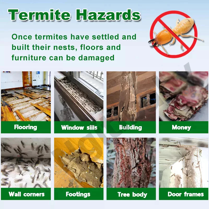 No termites within 3000m termite killer anay killer spray anti bait ...