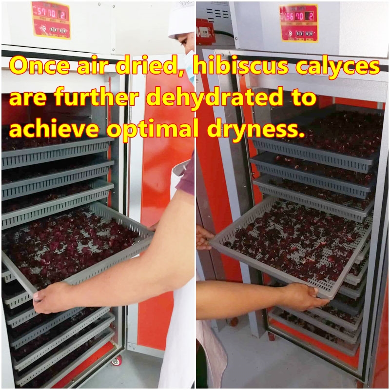 Dried Hibiscus Flower Tea (40g) / Pure Locally-Grown /Our Farm-grown Natural Organic, Roselle ...