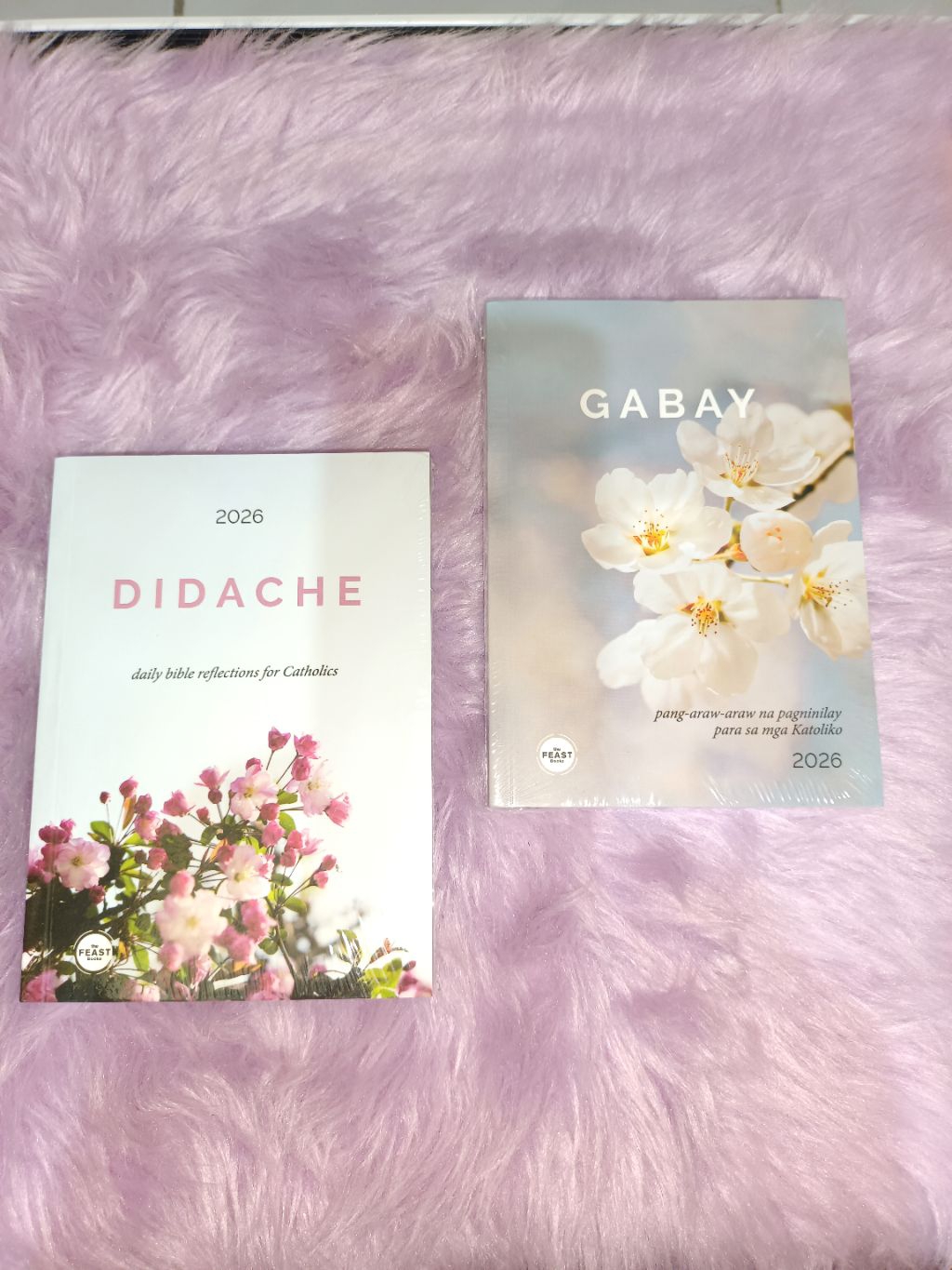 DIDACHE/GABAY 2026; Daily Bible Reflection for Catholic 2026; | Shopee ...