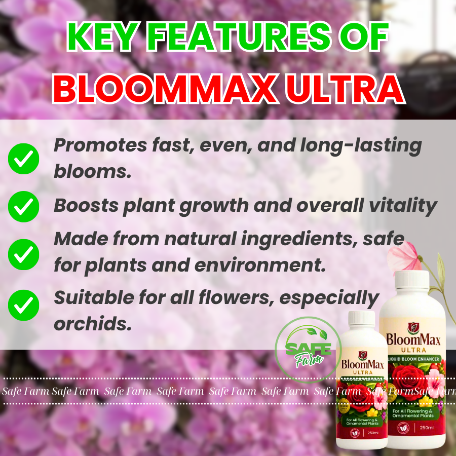 [BIG DEAL] Bloom Max Ultra – Premium Organic Fertilizer for Vibrant ...