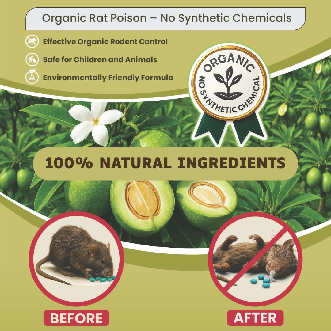 Rat Killer Poison Ubat Tikus Bintaro 0.05% Rice Grain Rodent Bait 50g ...
