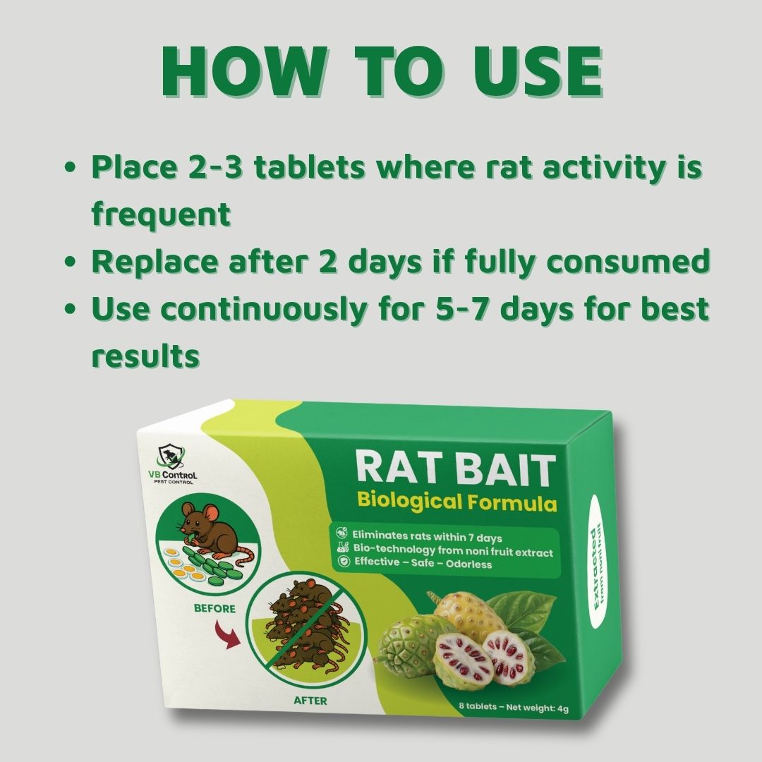 Rat Bait Biological Formula Effective Plant-Based Rat Killer Tablets ...