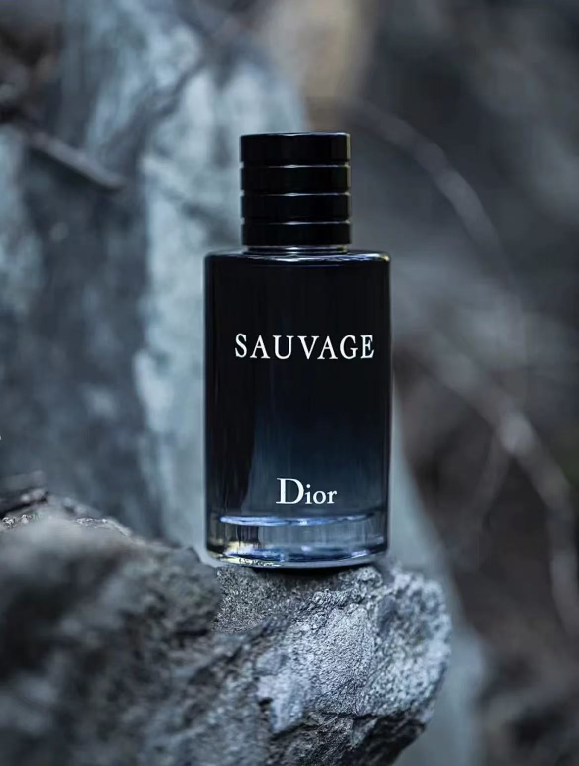 Sauvage Eau de Parfum | 100 ml | Intense Masculine Fragrance for Men ...