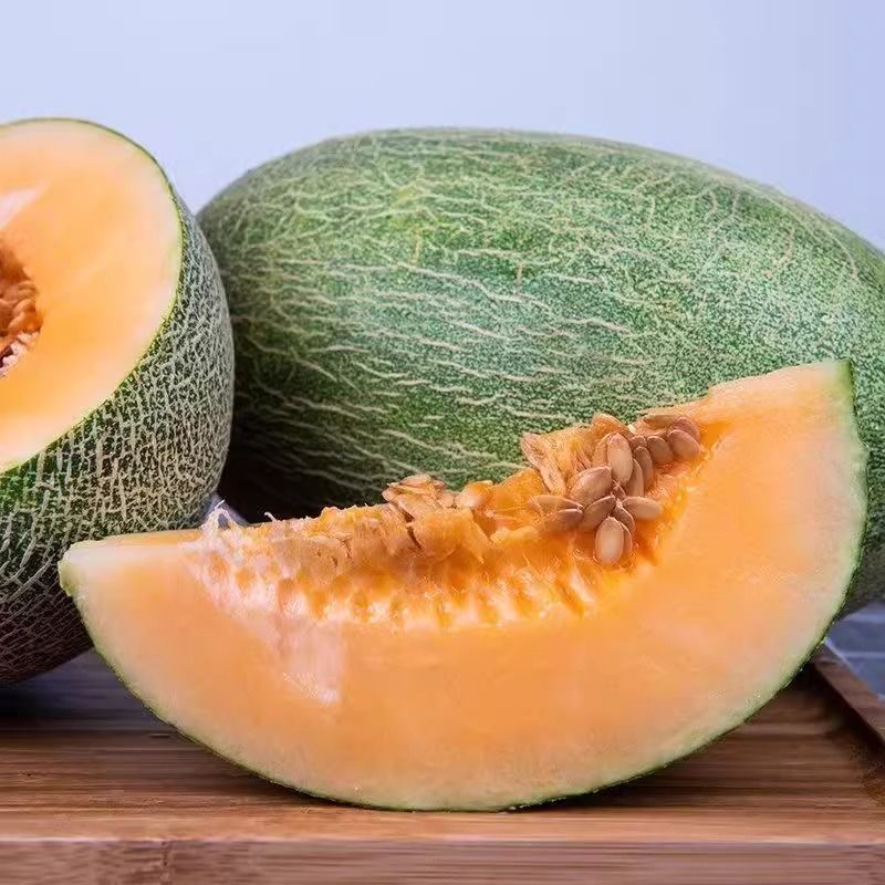 Hami Melon Seeds 20 PCS Cantaloupe Melon Honeydew Melon Original ...