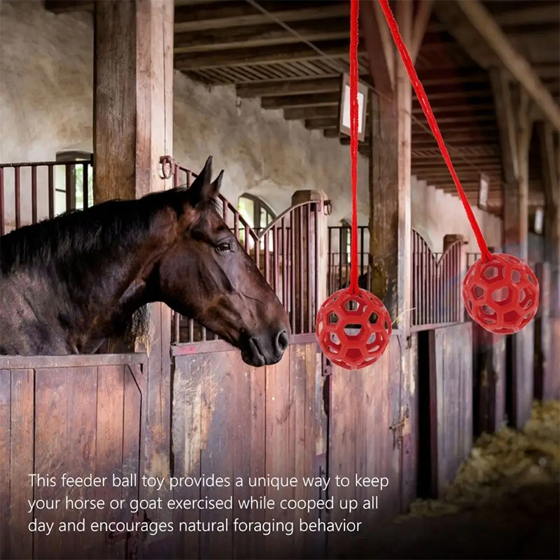 Hanging Hay Feeder Goat Feed Ball Horse Hay Ball Feeding Toy Container ...