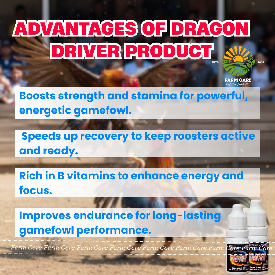 [BIG DEAL] Dragon Driver Vitamins for Gamefowl | Enhance Strength ...