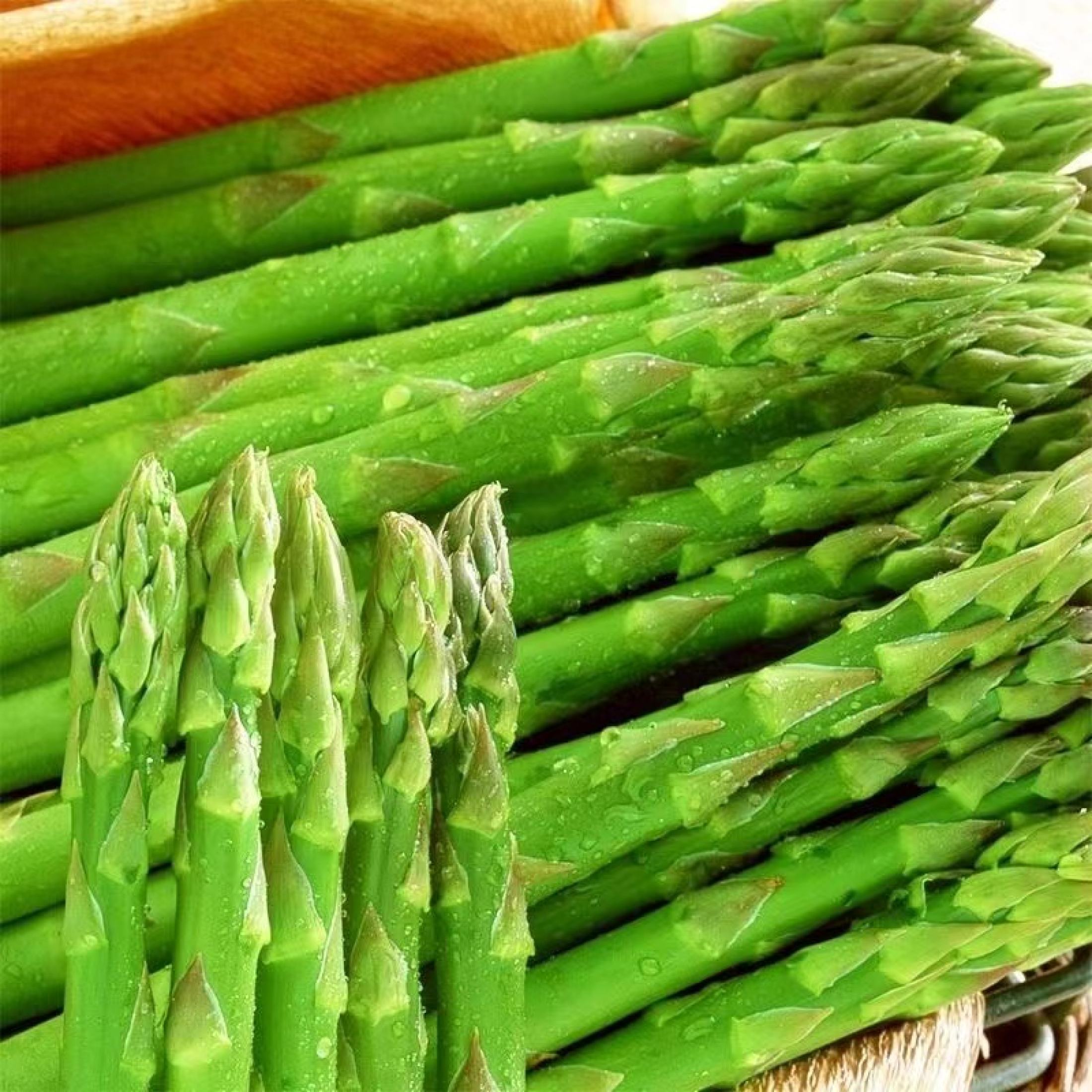 Organic Asparagus Seeds for Planting (10 Seed ) High Yield F1 Asparagus ...