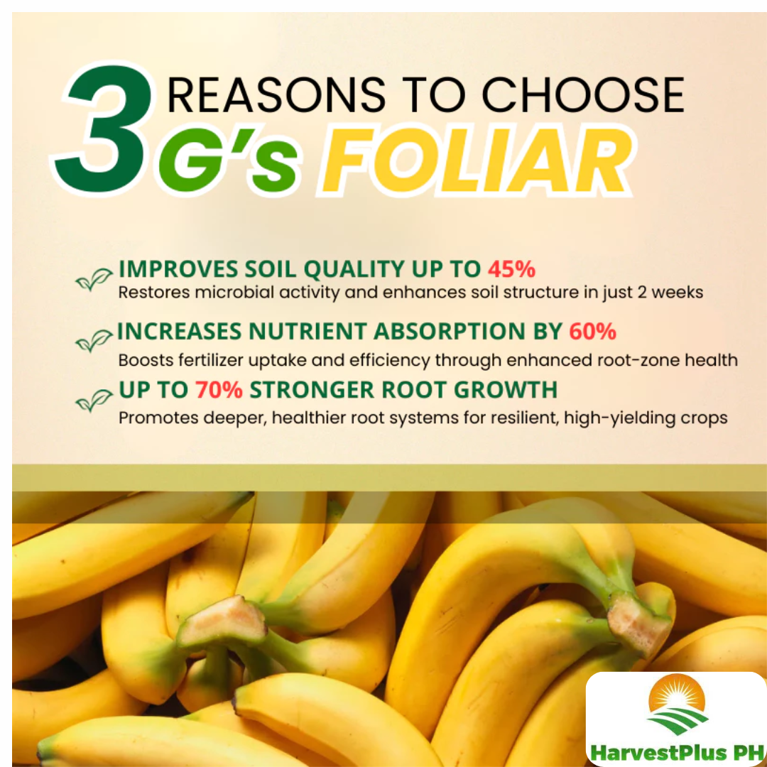 3gs foliar organic liquid all in one fertilizer-250ml/500ml | Shopee ...