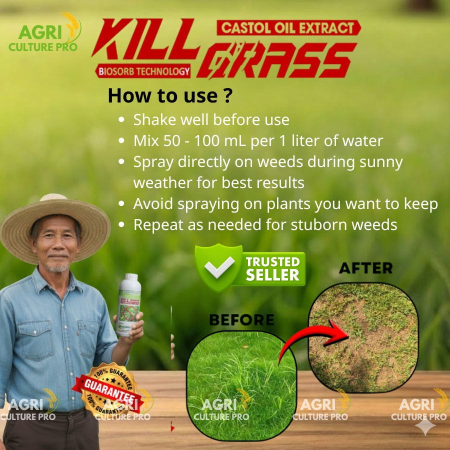 [BUY 1 GET 1] Kill Grass Herbicide – Effective Weed Killer for Your ...