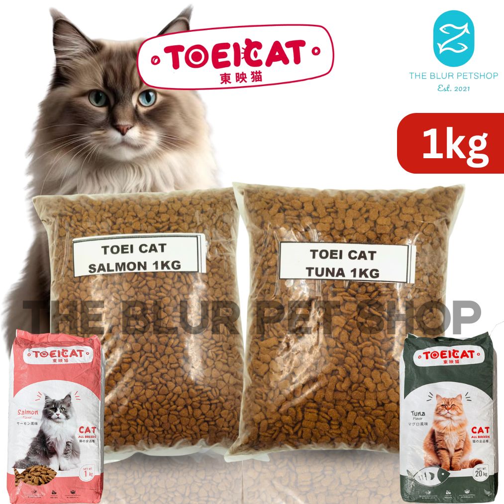 1kg Toei Cat Cats All Stages Adult Kitten Dry Food Tuna Salmon Flavor ...