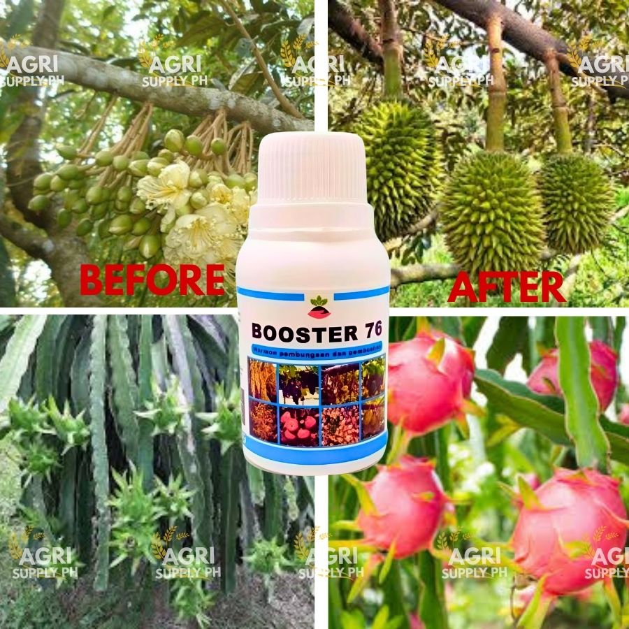 [BUY 1 GET 1] BOOSTER 76 Growth Solution Safe, Effective Choice for ...