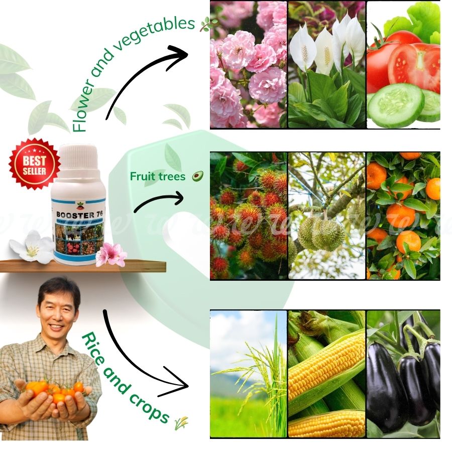 Booster 76 (150ml) – Organic Plant Fertilizer, Stimulates Flowering ...