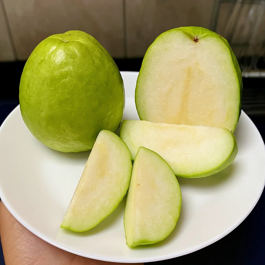 Grafted Guava Live Seedling Plant – Bayabas Fruit Tree, Sweet Tropical ...