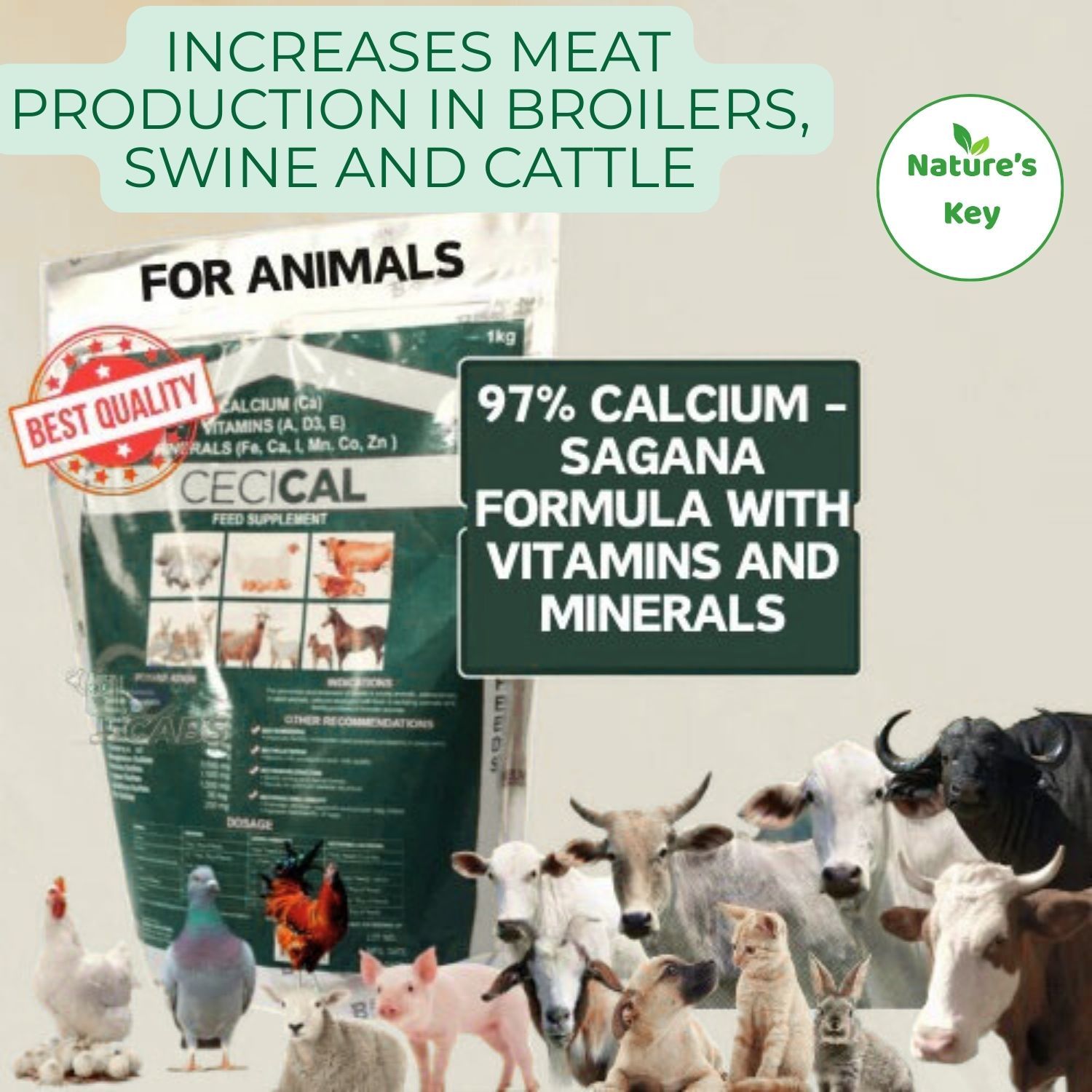 1kg Cecical Powder (Calcium) Feed Additive (Vitamin & Minerals) for ...