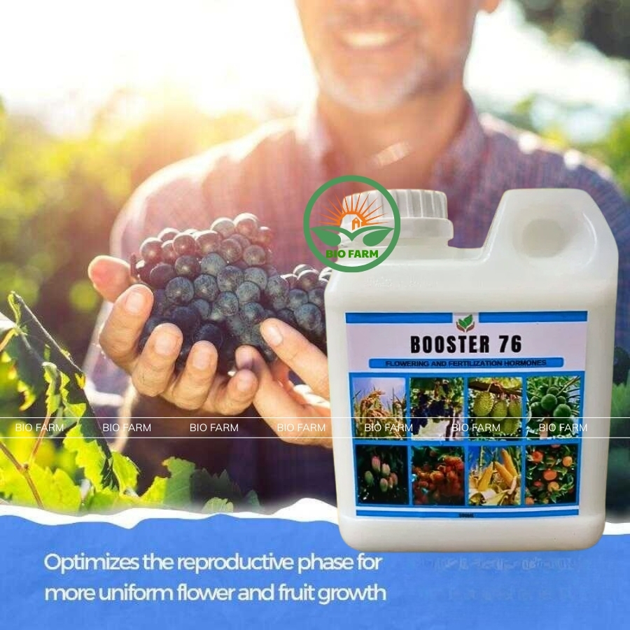 Booster 76 (500ml) Organic Fertilizer for Plantations, Strong Flowering ...