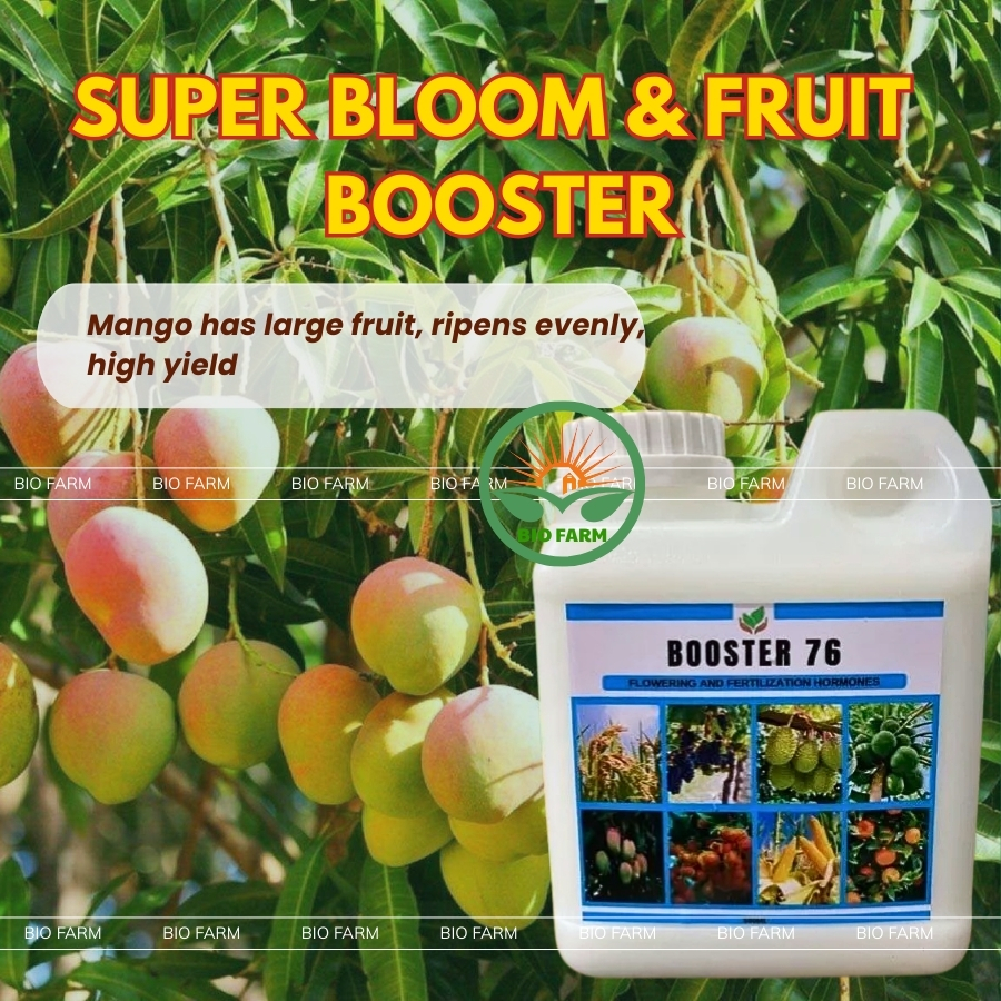 Booster 76 (500ml) Organic Fertilizer for Plantations, Strong Flowering ...