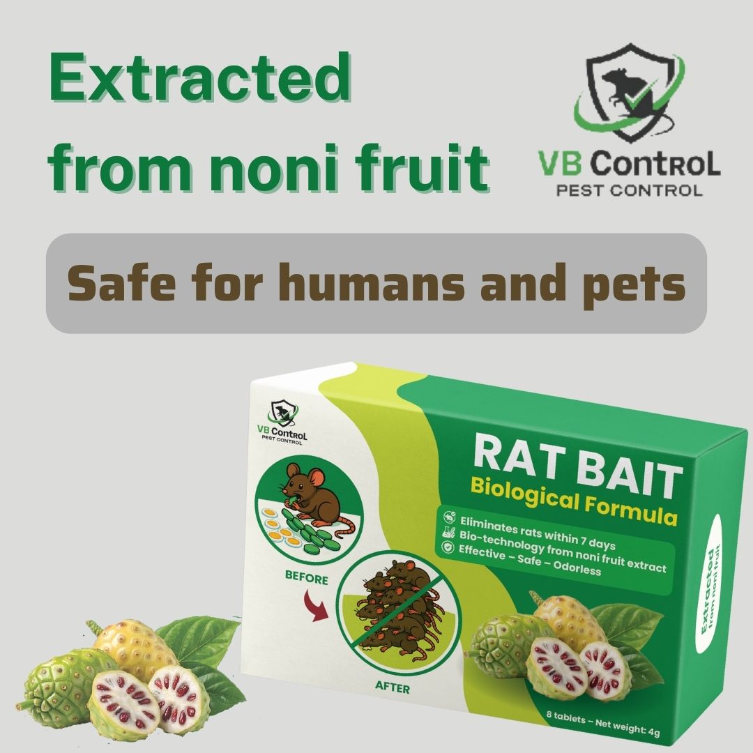 Rat Bait Biological Formula Effective Plant-Based Rat Killer Tablets ...