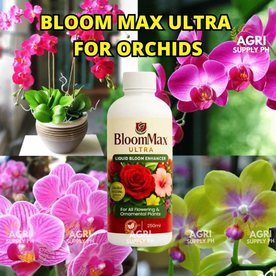 [ BEST PRICE ] Bloom Max Ultra – Organic Fertilizer for Healthy ...