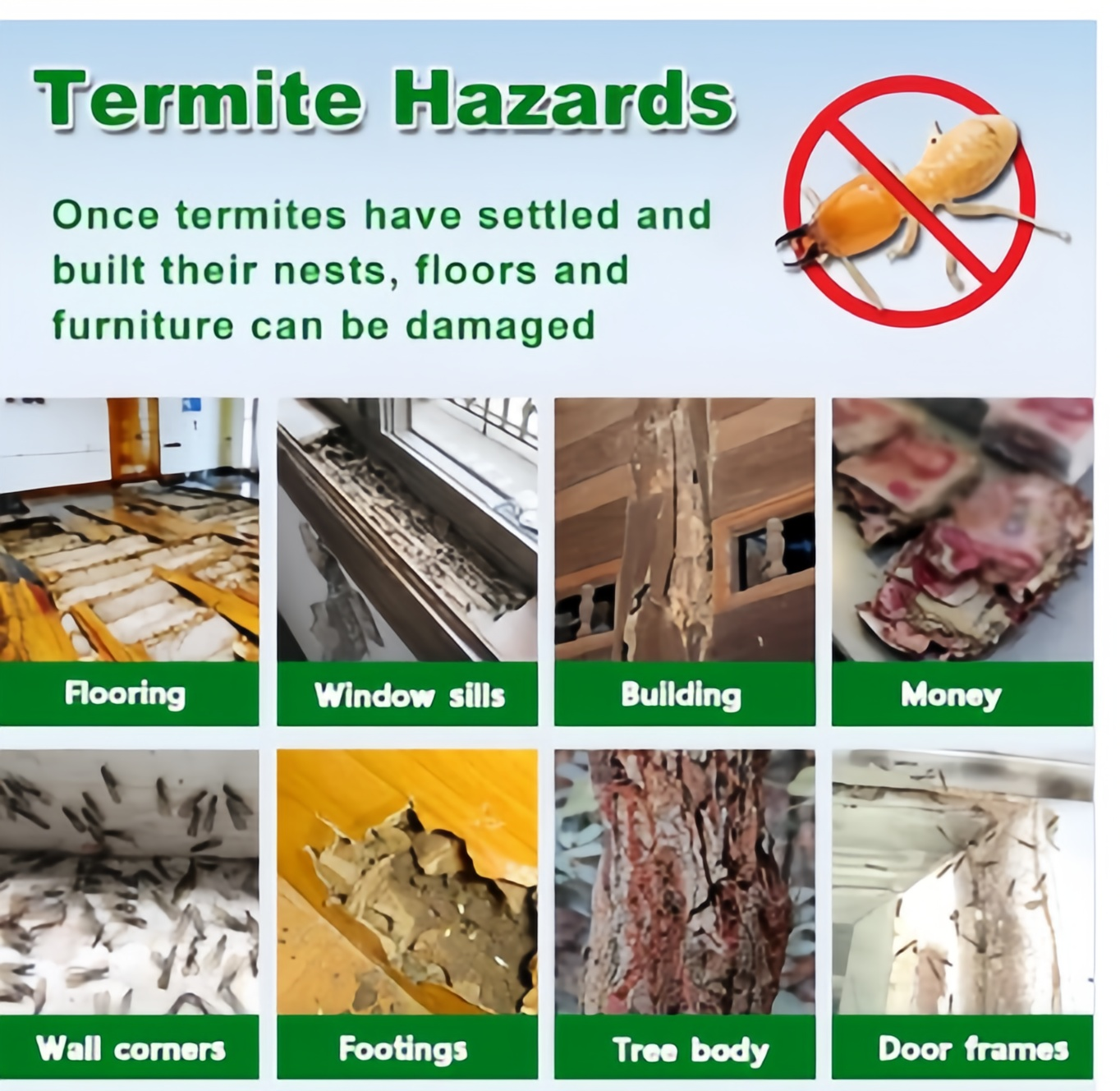 termite killer anay killer spray anti bait x control termites powder ...