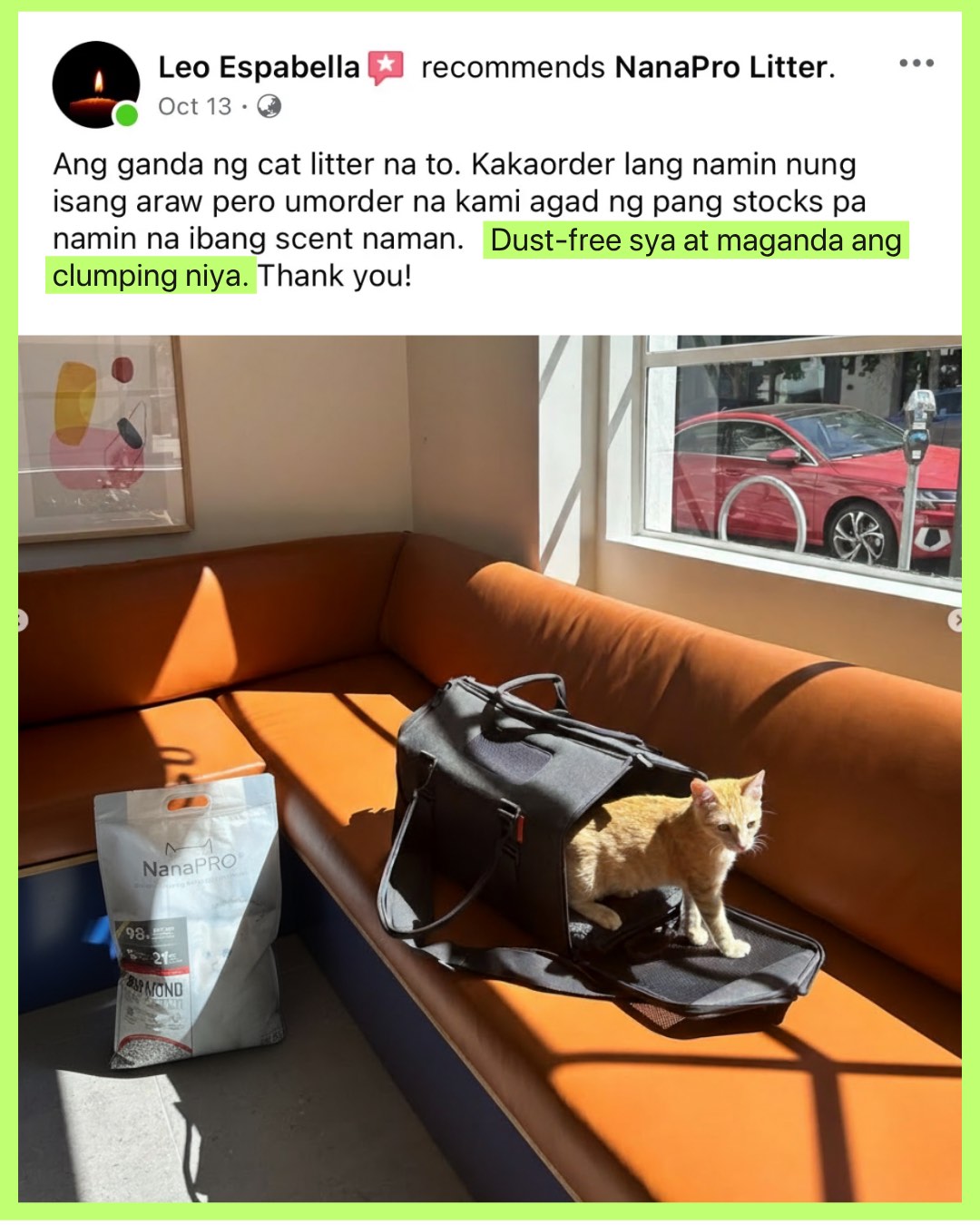 NanaPro Diamond Cat Litter 2 PACKS of 10L (BABY POWDER) Fast Clumping ...