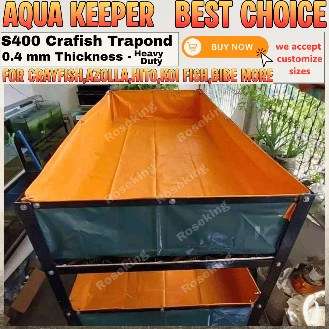 Azolla trapal pond 5x3x1 feet crayfish tank heavy duty makapal | Shopee ...